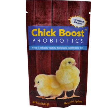 Baby Chick PROBIOTICS – JudyChicken